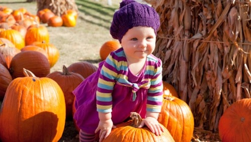 How to Plan a Fall Festival